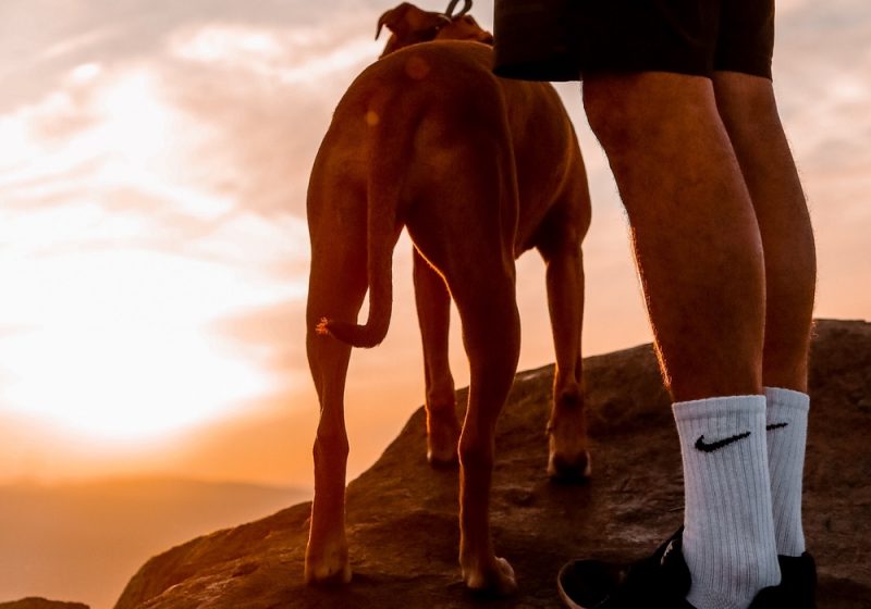 How Active Rest Can Make You a Productivity Ninja - SupawesomeLife®